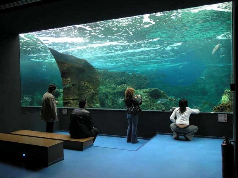 Private Trip From Rethymno to Dinosauria Park & Cretaquarium - Who Will Get the Most Out of This Tour?