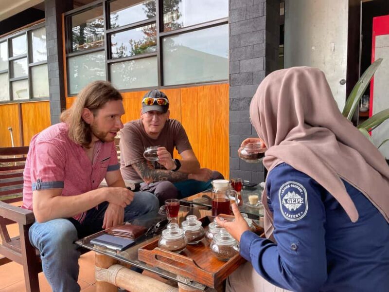 Private Trip Malang/Surabaya : Tour Tea Plantation Wonosari - Experience the Beauty of Wonosari Tea Garden in Malang