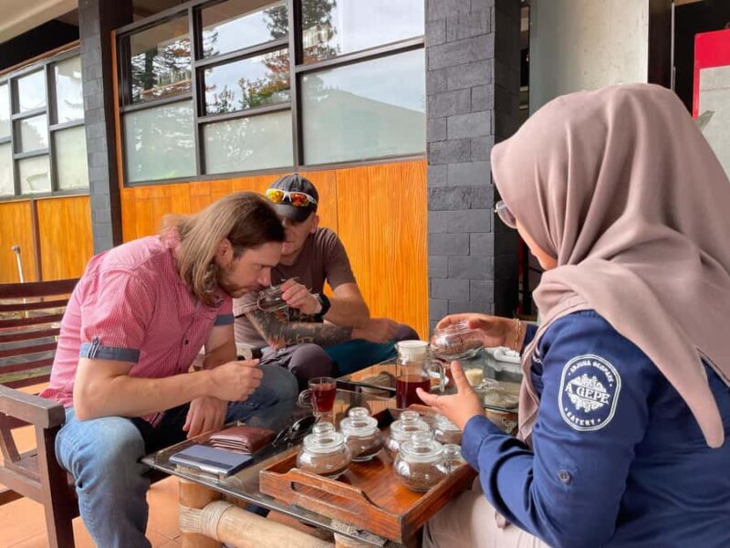 Private Trip Malang/Surabaya : Tour Tea Plantation Wonosari - Who Will Enjoy This Tour?