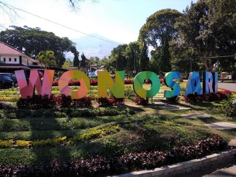 Private Trip Malang/Surabaya : Tour Tea Plantation Wonosari - Final Thoughts