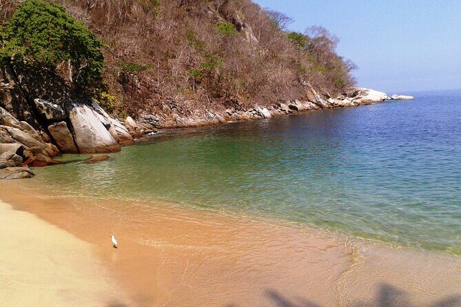 Private trip: snorkeling at Los Arcos & Colomitos beach - FAQ