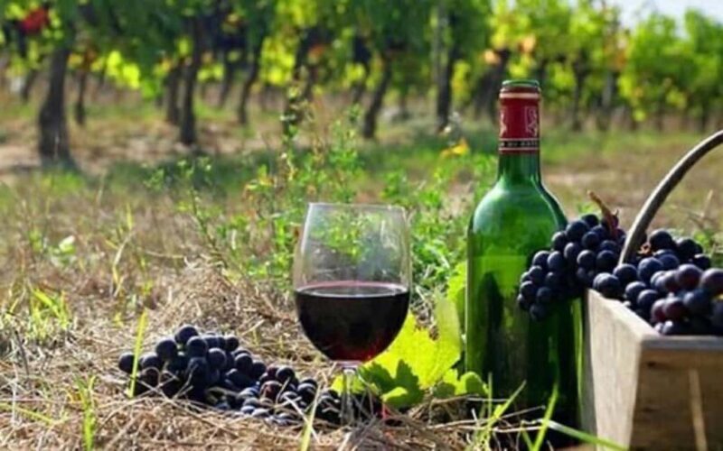 Private Trip: Tatev Ropeway-Shaki Waterfall-Wine Degustation - Discovering Armenia’s Hidden Gems: A Deep Dive into the Tatev Ropeway-Shaki Waterfall-Wine Degustation Tour