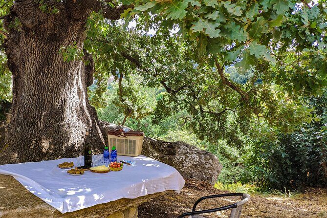 Private Trip Through the Heart of Crete, Picnic & Wine Tasting - Who Should Book This Tour?