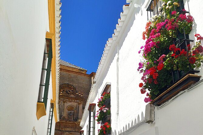 Private trip to Carmona from Seville: 5000 years of history - The Alcazar de Arriba and panoramic vistas
