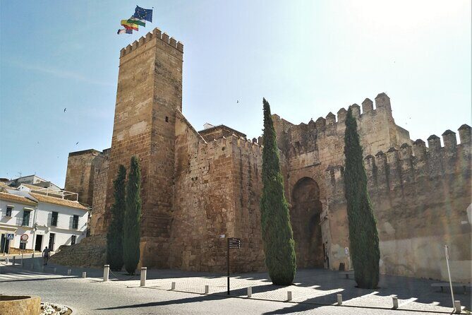 Private trip to Carmona from Seville: 5000 years of history - Authentic experiences and personal stories
