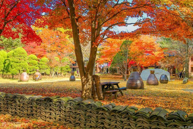 Private Trip to Nami Island and Ski Resort - Introduction: An All-in-One South Korean Adventure
