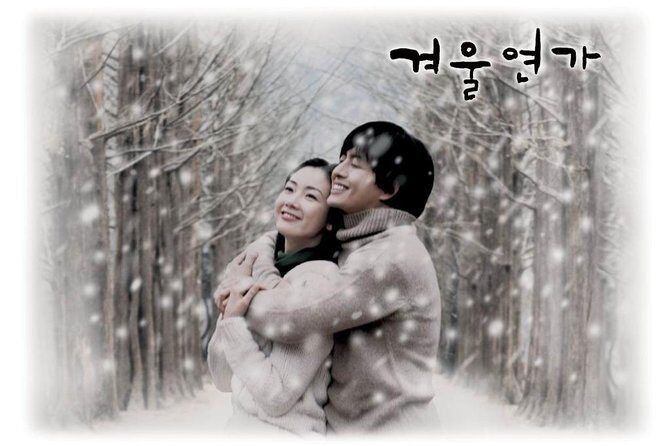 Private Trip to Nami Island and Ski Resort - Authentic Feedback & Tips from Travelers