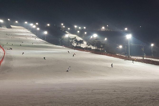 Private Trip to Nami Island and Ski Resort - FAQ