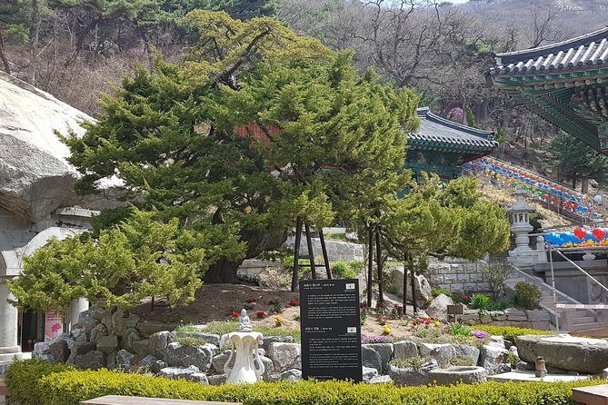 Private Trip to Seongmo Island(Temple) and North Korea Observatory+Kimchi Lesson - Final Thoughts on Value and Suitability