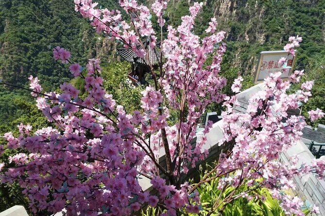 Private Trip to Shilingxia Glass Platform with English Speaking Driver - The Details of the Experience