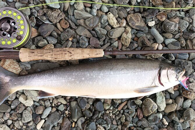 Private Trout and Char Fishing in Icelandic Serenity Experience - Who Should Consider This Tour?