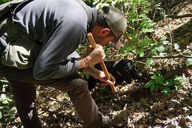 Private Truffle Hunting in Chianti - An In-Depth Look at the Experience