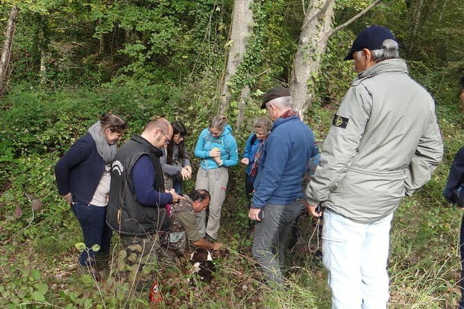 Private Truffle Hunting in Chianti from Florence - Final Thoughts: Is It Worth It?