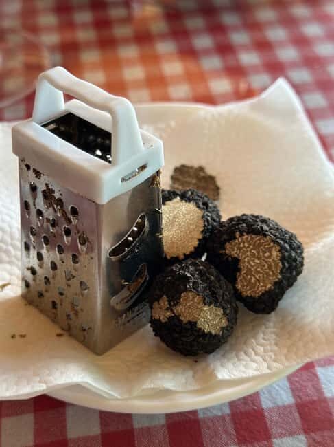 Private TruffleHunting Tour from Belgrade  Lunch with Wine - Who Should Consider This Tour?