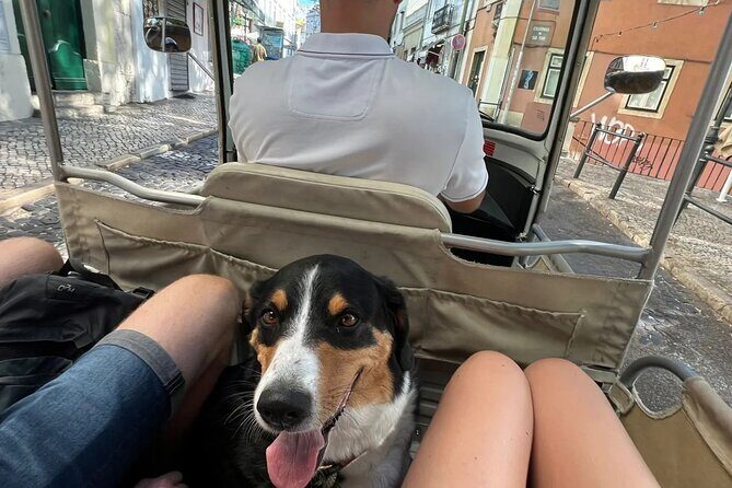 Private Tuk-Tuk Lisbon Tour - FAQ