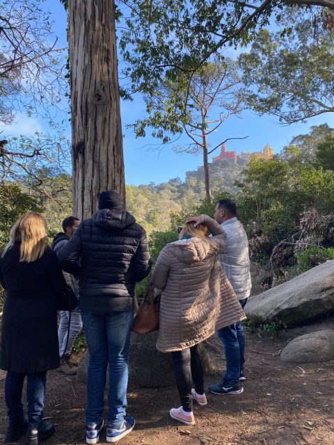 Private Tuk Tuk Tour around Sintra - Considerations and Practicalities