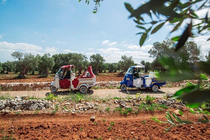 Private Tuk Tuk Tour of the Millenary Olive Groves in Ostuni - Scenic and Cultural Highlights