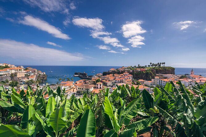 Private Tuk Tuk Tour on Câmara de Lobos, Fishing Village - Practical Details and Tips