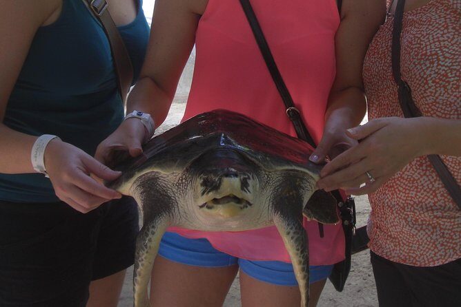 Private Tuk-Tuk Village Tour - From Bentota Hotels - A Closer Look at the Tour Itinerary