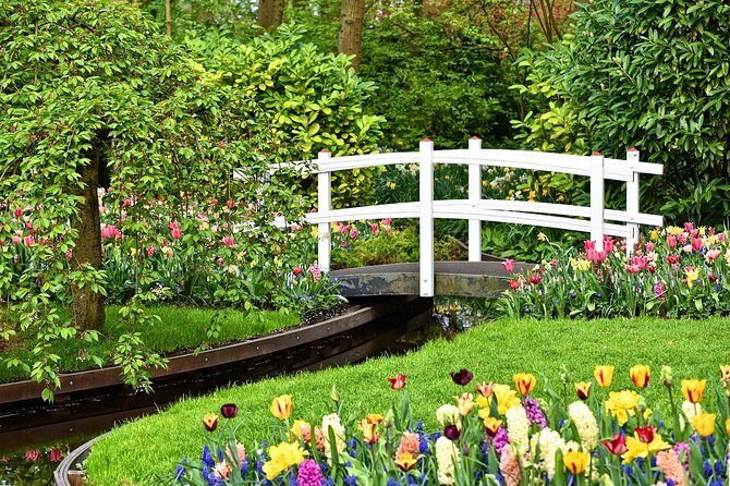 Private Tulip Fields, Windmills and Cheese Tour from Amsterdam - Final Thoughts: Who Should Consider This Tour?