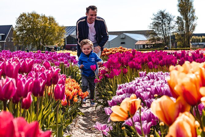 Private Tulip Fields, Windmills and Cheese Tour from Amsterdam - Frequently Asked Questions