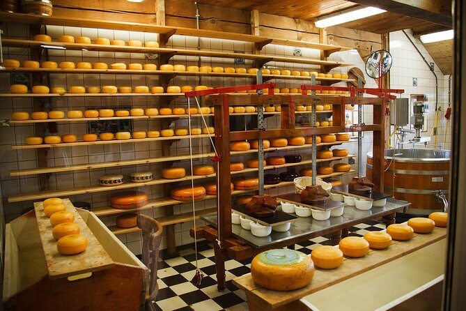 Private Tulip Fields, Windmills and Cheese Tour from Amsterdam - Final Words
