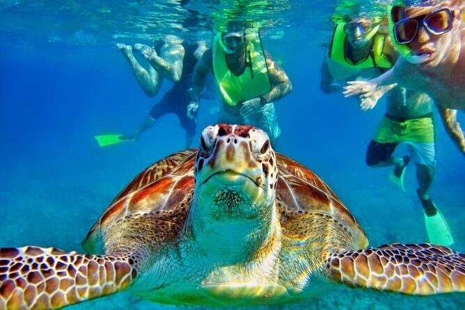 Private Tulum Mayan Ruins & Swimming with Turtles Experience - FAQ