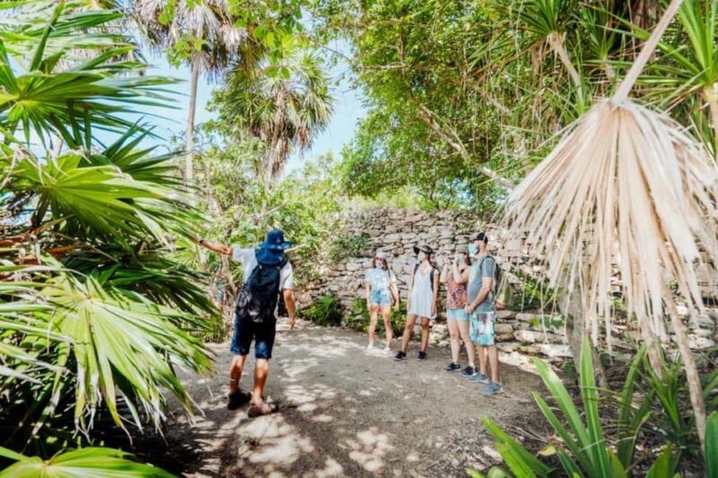 Private Tulum Ruins & Underground Cenote with Lunch Included - An In-Depth Look at the Tour Experience