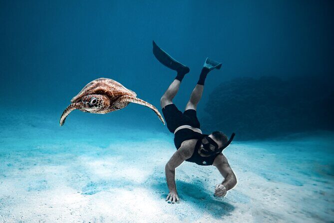 Private Turtle and Ray Tour Rarotonga - FAQs