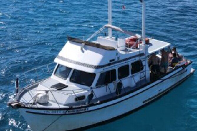 Private Turtle Canyon Snorkel Tour - Up to 6 Passengers - Who Is This Tour Best For?