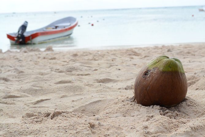 Private Turtle Discovery in Akumal - Practical Details and Considerations