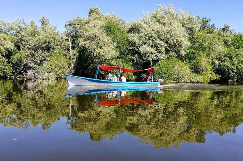 -Private Turtle Release Lagoon Boat Ride &High Divers Exprce - The Sum Up