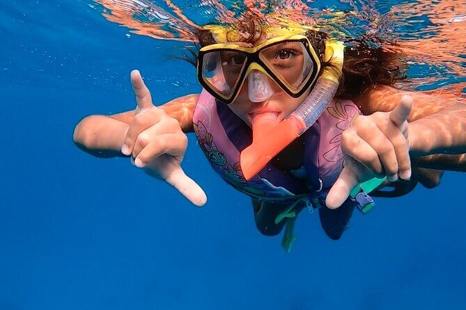 Private Turtle Spotting Snorkeling Excursion in Aruba - Final thoughts