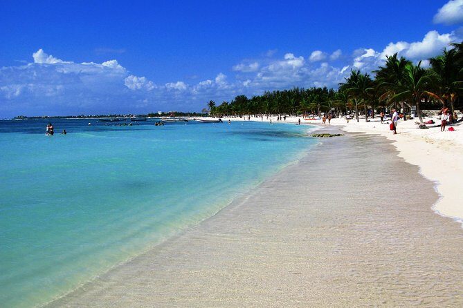 Private Turtles Express - The Value Proposition: Who Will Appreciate This Tour?