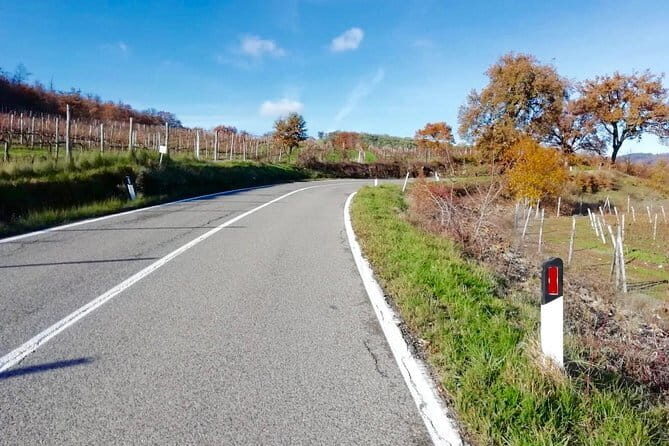 Private Tuscany Cycling Tour from Florence - An Introduction to the Tuscany Cycling Experience