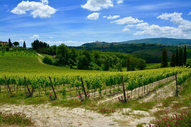 Private Tuscany Day Tour: San Gimignano and Chianti Wine Region from Florence - The Charm of the Chianti Wine Region