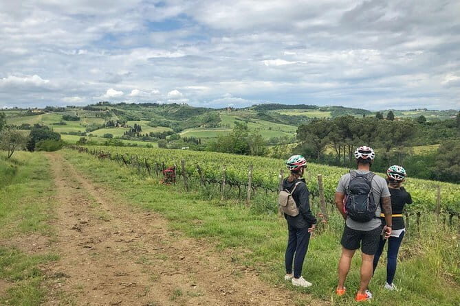 Private Tuscany Sunset Bike Tour - An In-Depth Look at the Tuscany Sunset Bike Tour