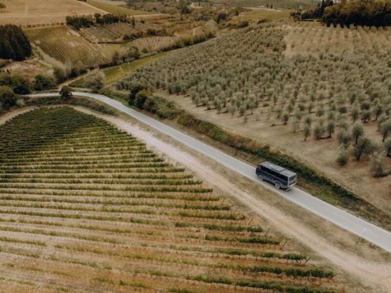Private Tuscany Wine Tour: Chianti Wine Safari from Florence - Exploring the Historic Villa and Gardens