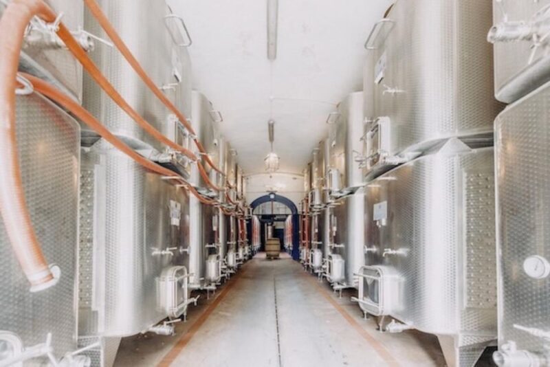 Private Tuscany Wine Tour: Chianti Wine Safari from Florence - The Experience’s Overall Value