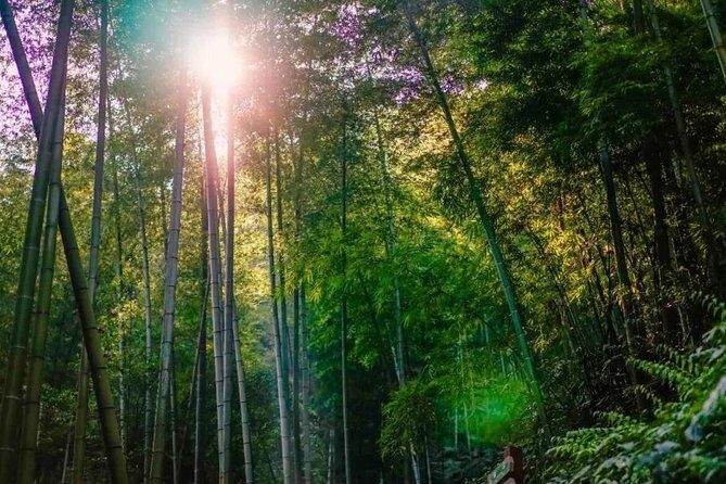 Private Two-Day Shu'nan Bamboo Forest with Farmhouse Stay - Key Points