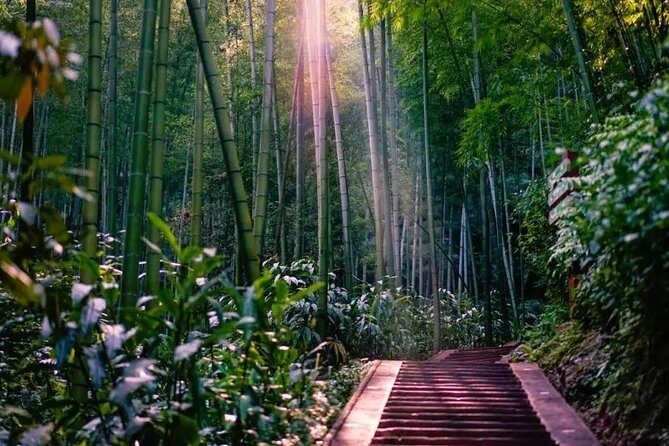 Private Two-Day Shu'nan Bamboo Forest with Farmhouse Stay - Authentic Experiences and Practical Insights