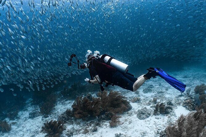 Private Two Tank Boat Dive in Bonaire 2 persons - Who Will Love This Experience?
