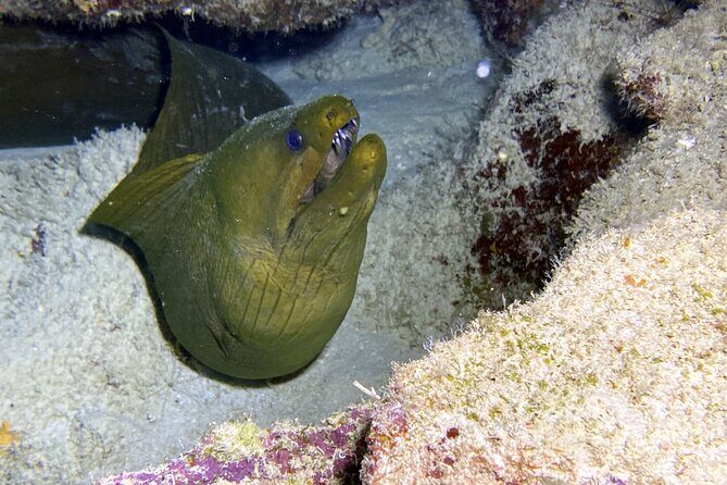 Private Two Tank Boat Dive in Bonaire 2 persons - Frequently Asked Questions