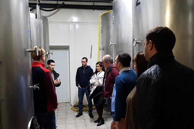 Private Txakoli Wine Tour through the Coast from San Sebastian - Key Points