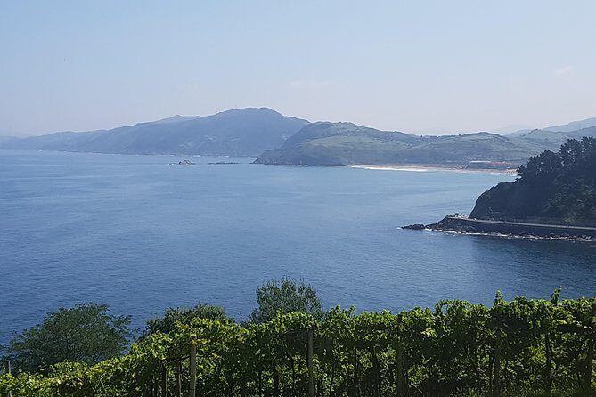 Private Txakoli Wine Tour through the Coast from San Sebastian - Who Will Benefit from This Tour?