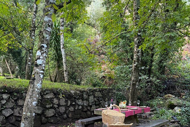 Private Typical Portuguese Picnic in Serra de Monchique - Final Thoughts