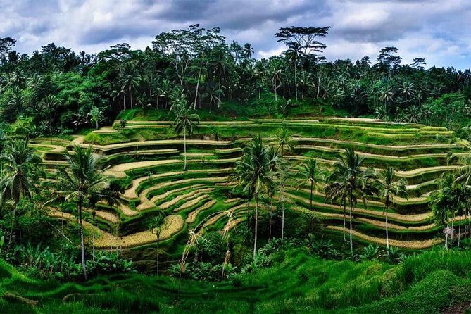 Private Ubud and Volcano Day Trip - What Travelers Say: Authentic Feedback