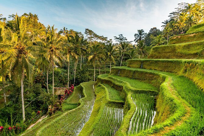 Private Ubud Day Tour - Who Will Love This Tour?