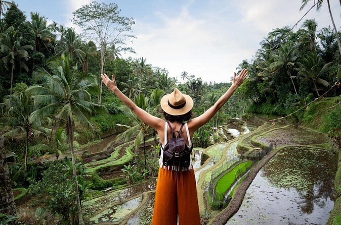 Private Ubud Day Tour Waterfalls Sacred Monkeys and Rice Fields - Final Thoughts: Who Will Love This Tour?