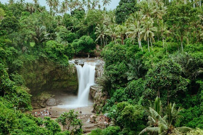 Private Ubud Day Tour Waterfalls Sacred Monkeys and Rice Fields - FAQs